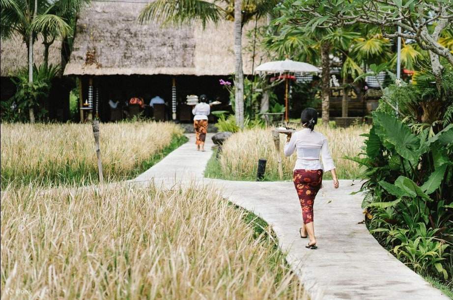 Bebek Tepi Sawah Dining Experience in Bali - Klook