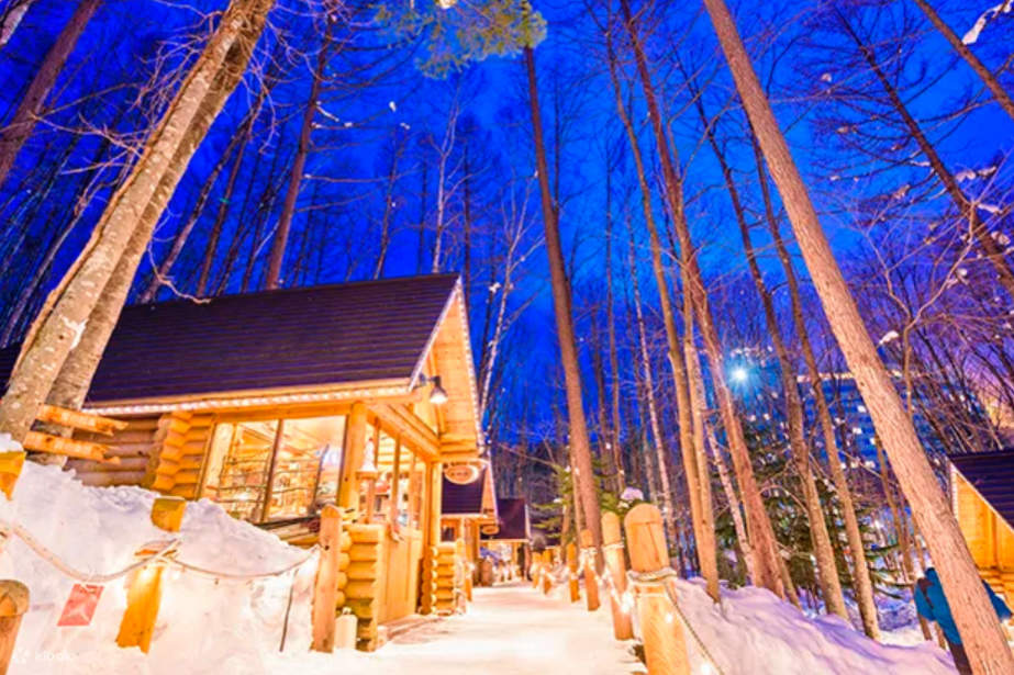 Asahiyama Zoo & Biei & Shikisai-no-Oka & Forest Fairy Terrace One Day ...