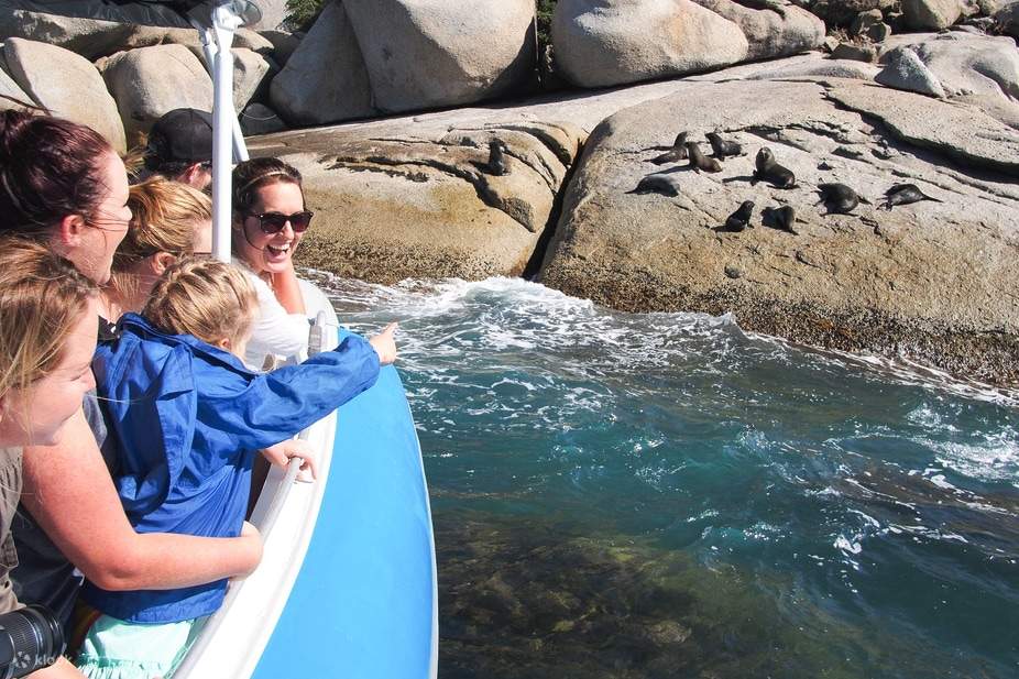 Vines and Victor Eco Adventure Tour - Klook