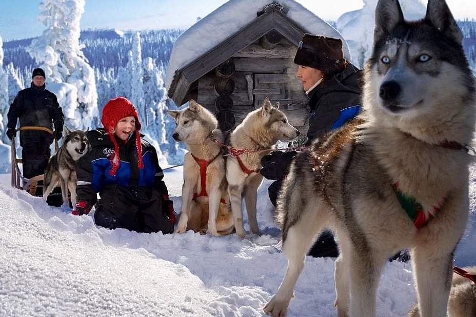 Snowmobile Safari, Reindeer & Husky Sleigh Ride Tour from Rovaniemi - Klook