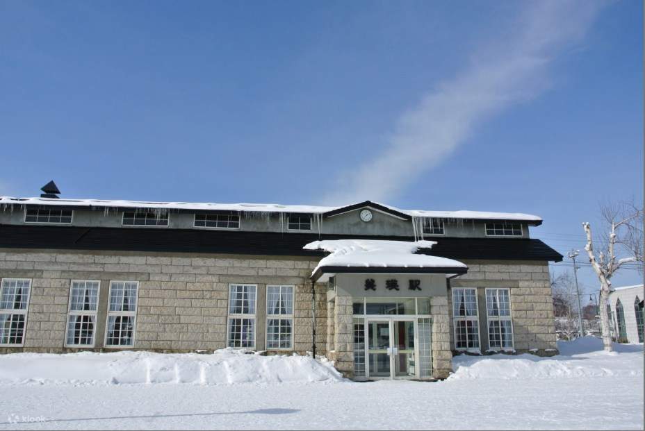 Illumination Tour: Furano Elf Terrace, Biei Blue Pond & Shirahige Falls ...