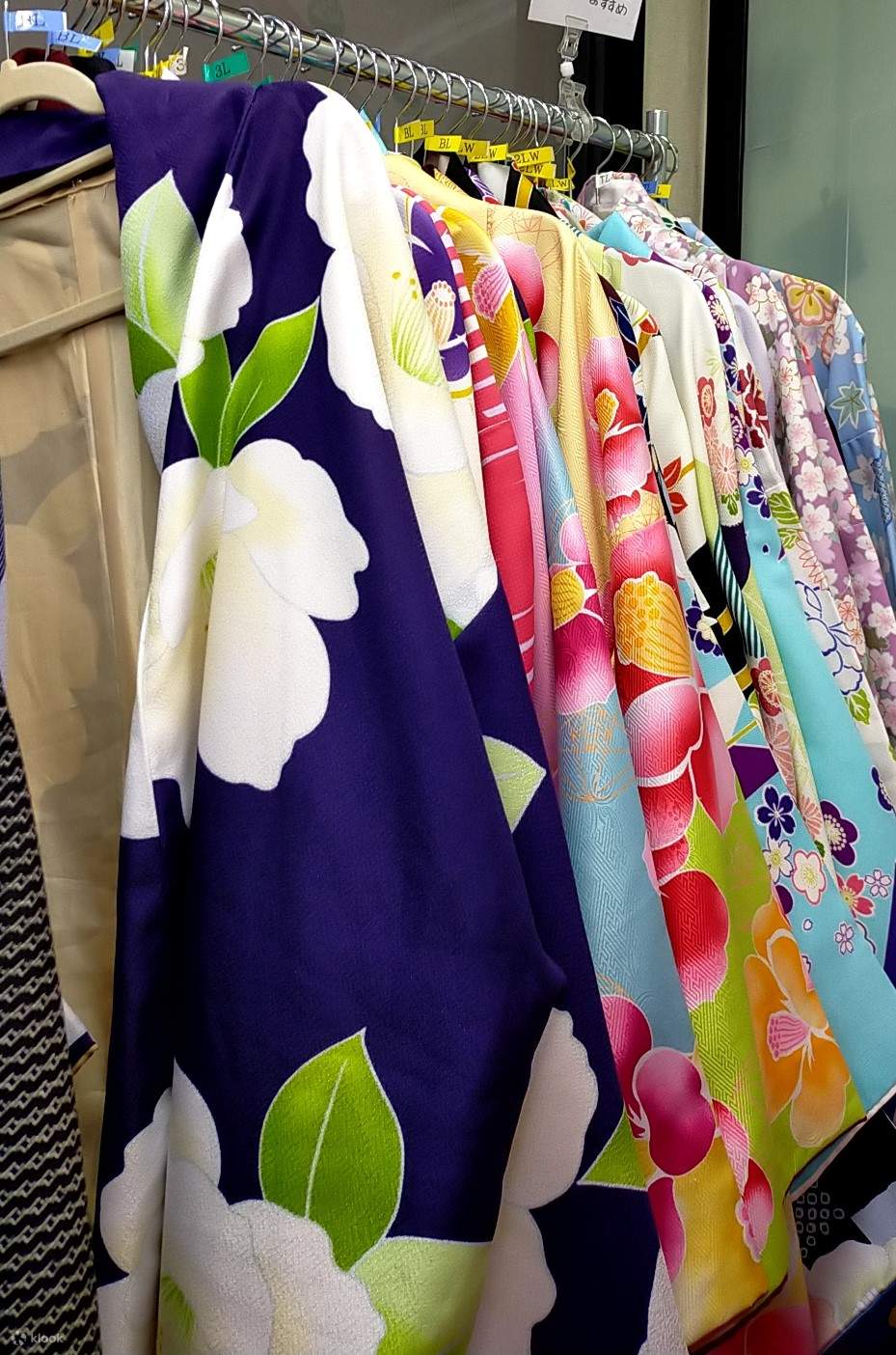 Disfruta del alquiler de kimonos de talla grande en Asakusa Tokio ...