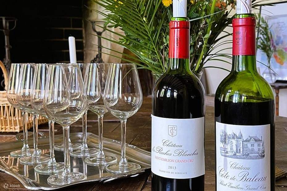Medoc and Saint Emilion Wine Tour from Bordeaux - Klook