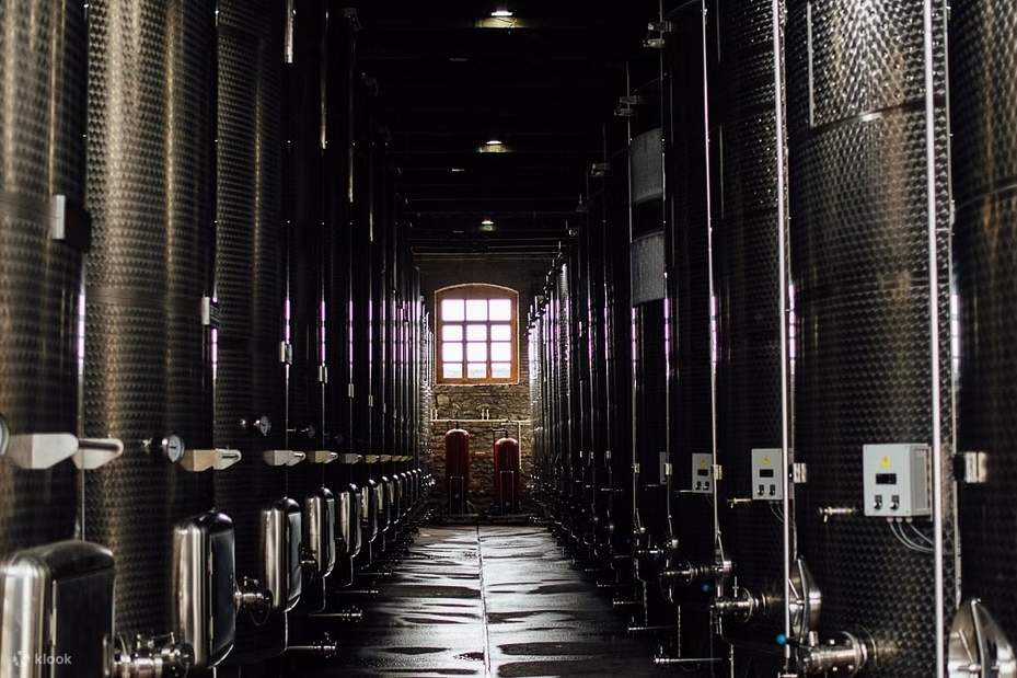 Kakheti Wine Region Tour dari Tbilisi - Klook Indonesia