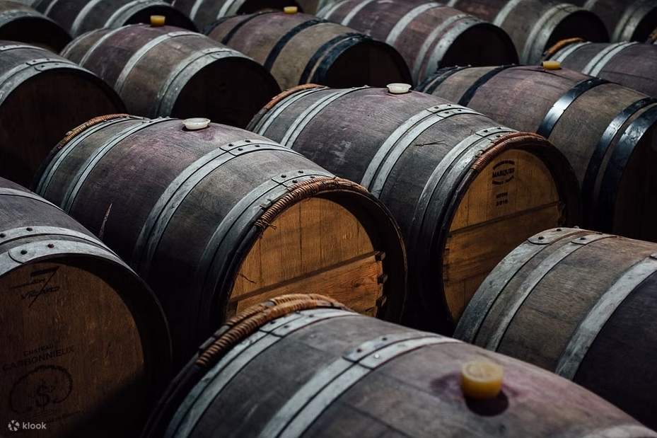 Kakheti Wine Region Tour from Tbilisi - Klook India