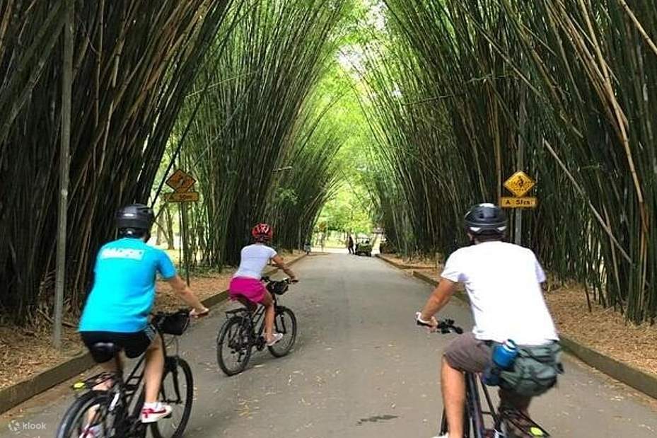 Sao Paulo The Coolest Urban Scenes Bike Tour - Klook