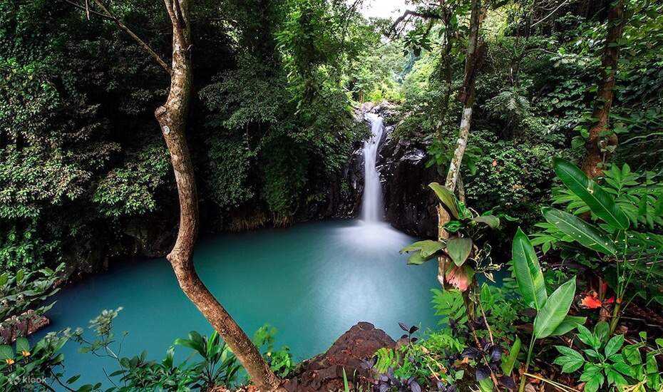 Sambangan Waterfalls with Wanagiri Swing Day Trip, Bali, Indonesia ...