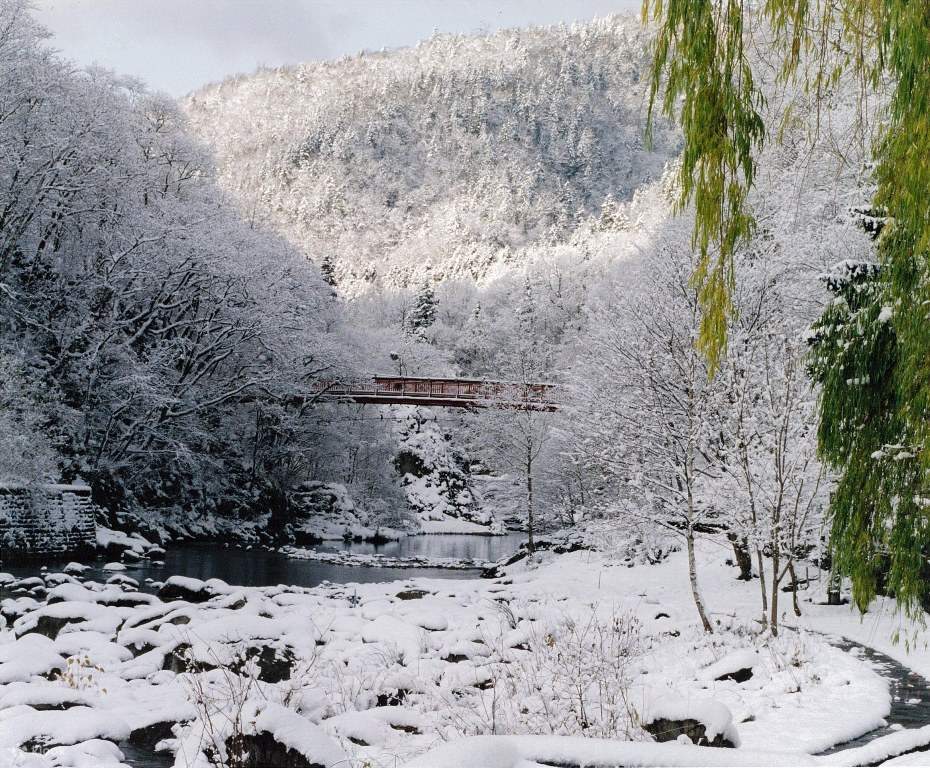 One-Day Tour from Sapporo: Hokkaido Shrine & Jozankei & Curb Market ...