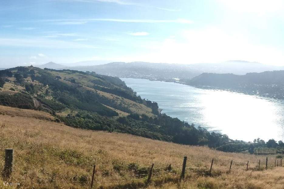 Dunedin City Highlights & Larnach Castle Tour - Klook