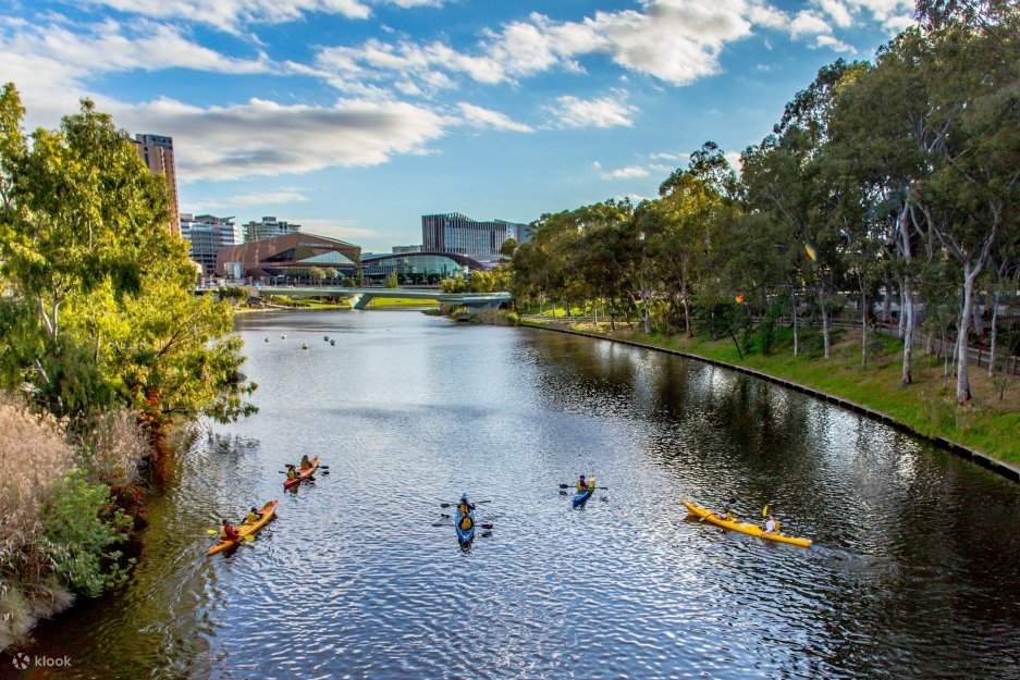 Geführte Kajaktour auf dem River Torrens in Adelaide - Klook ...