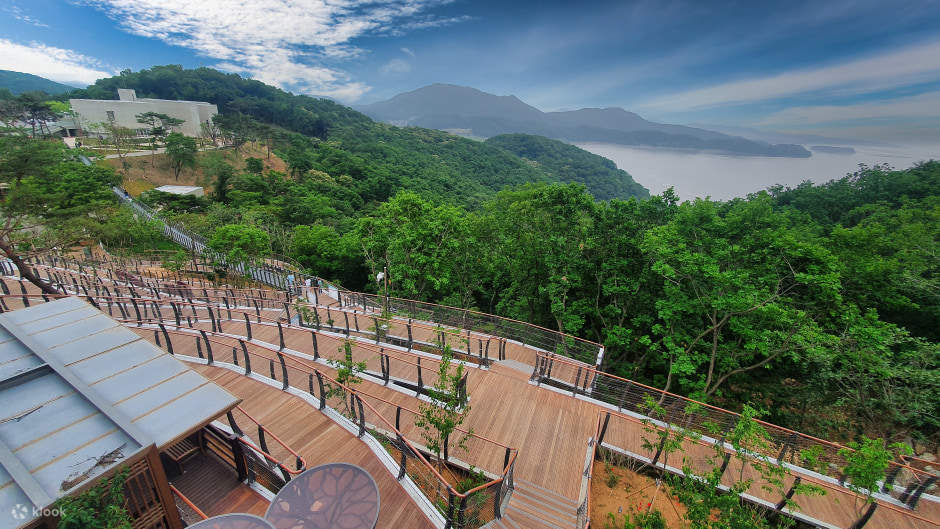 Paju & Ilsan Day Tour: Traditional Korean Cooking & Aqua Garden Cafe ...