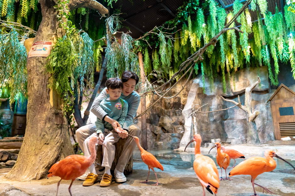 Seoul Zoolung Zoolung Indoor Animal Theme Park Ticket - Klook Singapore