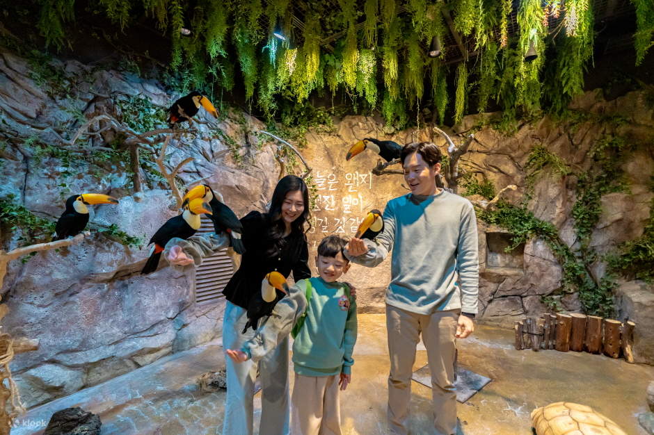 [Kook] Taman Tema Haiwan Dalaman Zoolung Zoolung Seoul - Klook Amerika ...