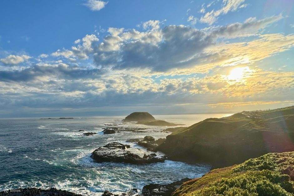 Phillip Island Penguin Express Day Tour - Klook United States