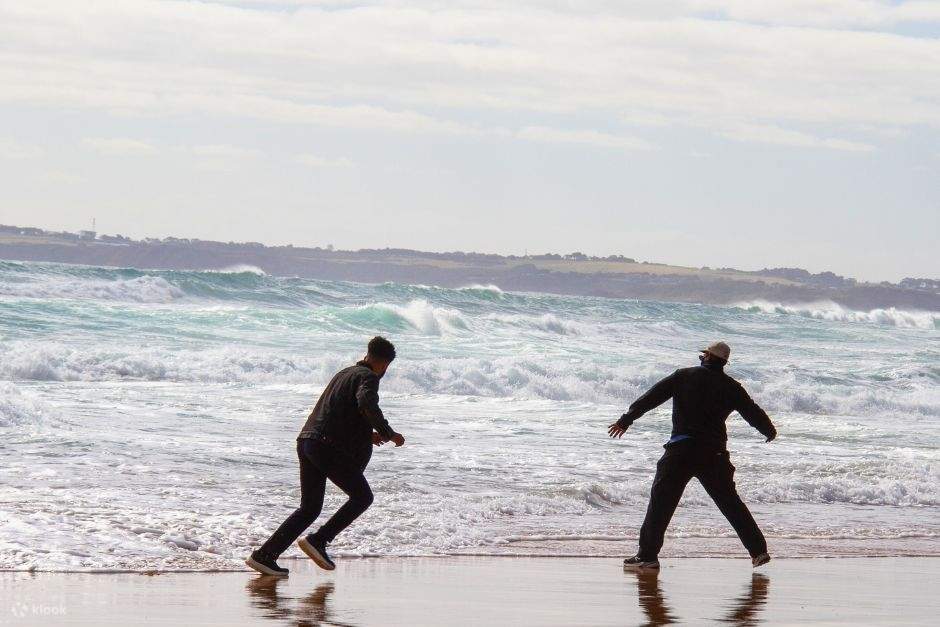 Phillip Island Penguin Express Day Tour - Klook United States