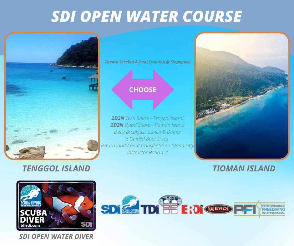 SDI Open Water Course - Klook Singapore