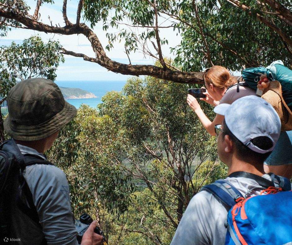 Wilsons Promontory National Park Guided Day Tour from Melbourne - Klook