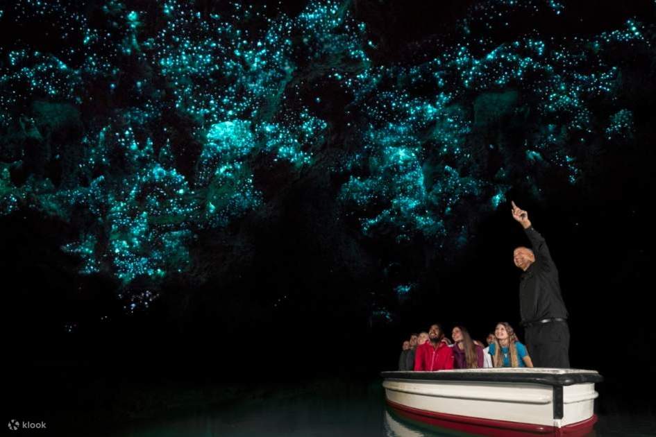 Tur Pribadi Sehari ke Desa Hobbiton & Gua Cacing Pendar Waitomo - Klook ...