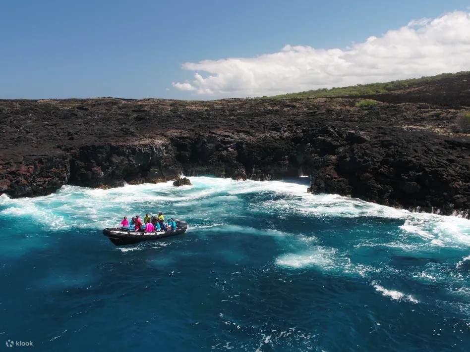 Pelagic Wildlife Excursion Experience in Honolulu - Klook Philippines