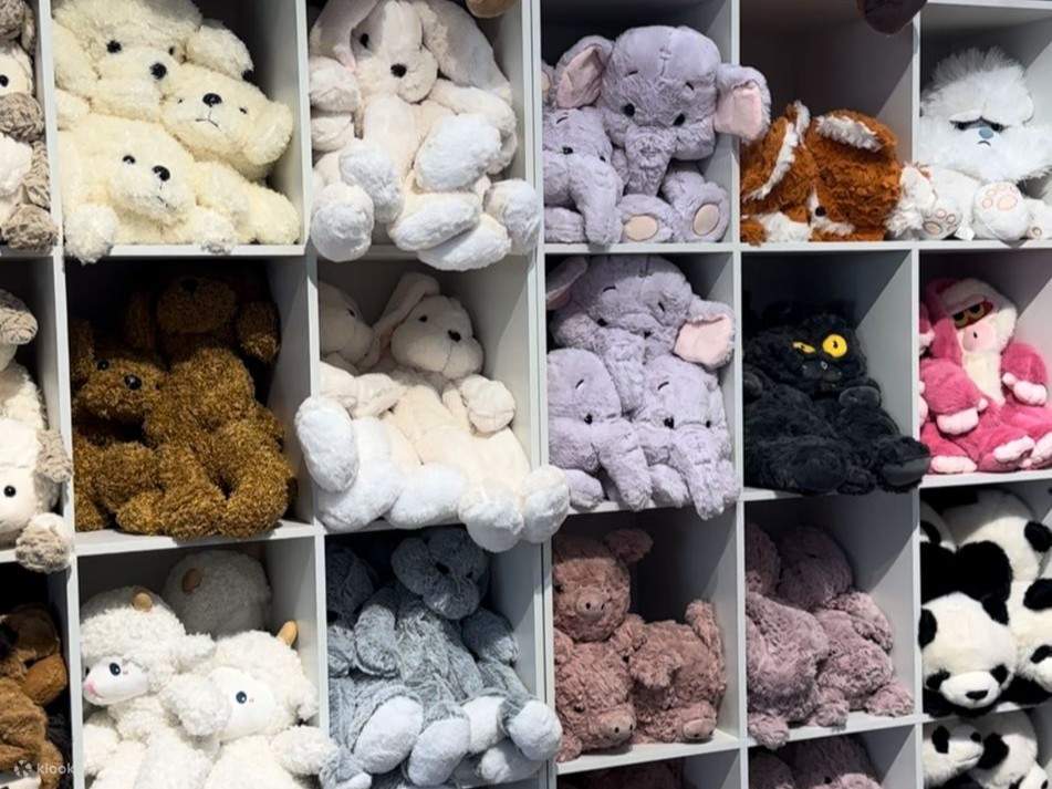 DIY Plushy Doll by Forever Twenty DIY Studio in Johor Bahru - Klook ...