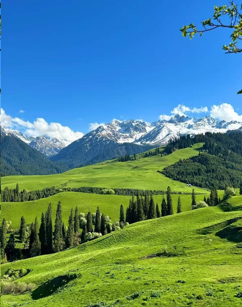 8-Day Yili, Xinjiang Tour (Flower Sea Afternoon Tea + Sayram Lake ...