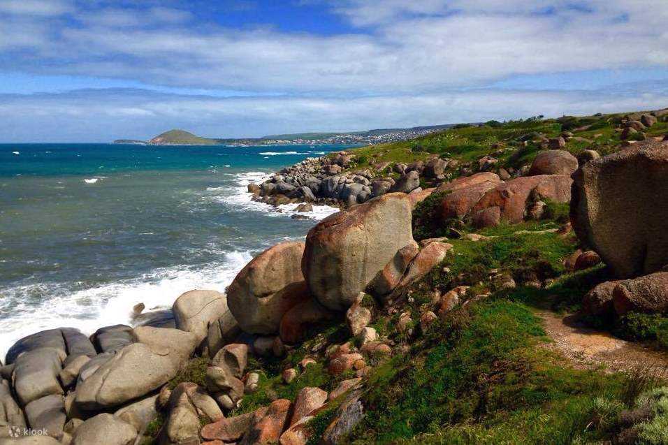 Vines and Victor Eco Adventure Tour - Klook