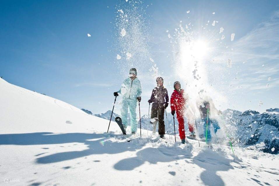 Swiss Ski Experience in Jungfrau Region from Zurich or Lucerne - Klook