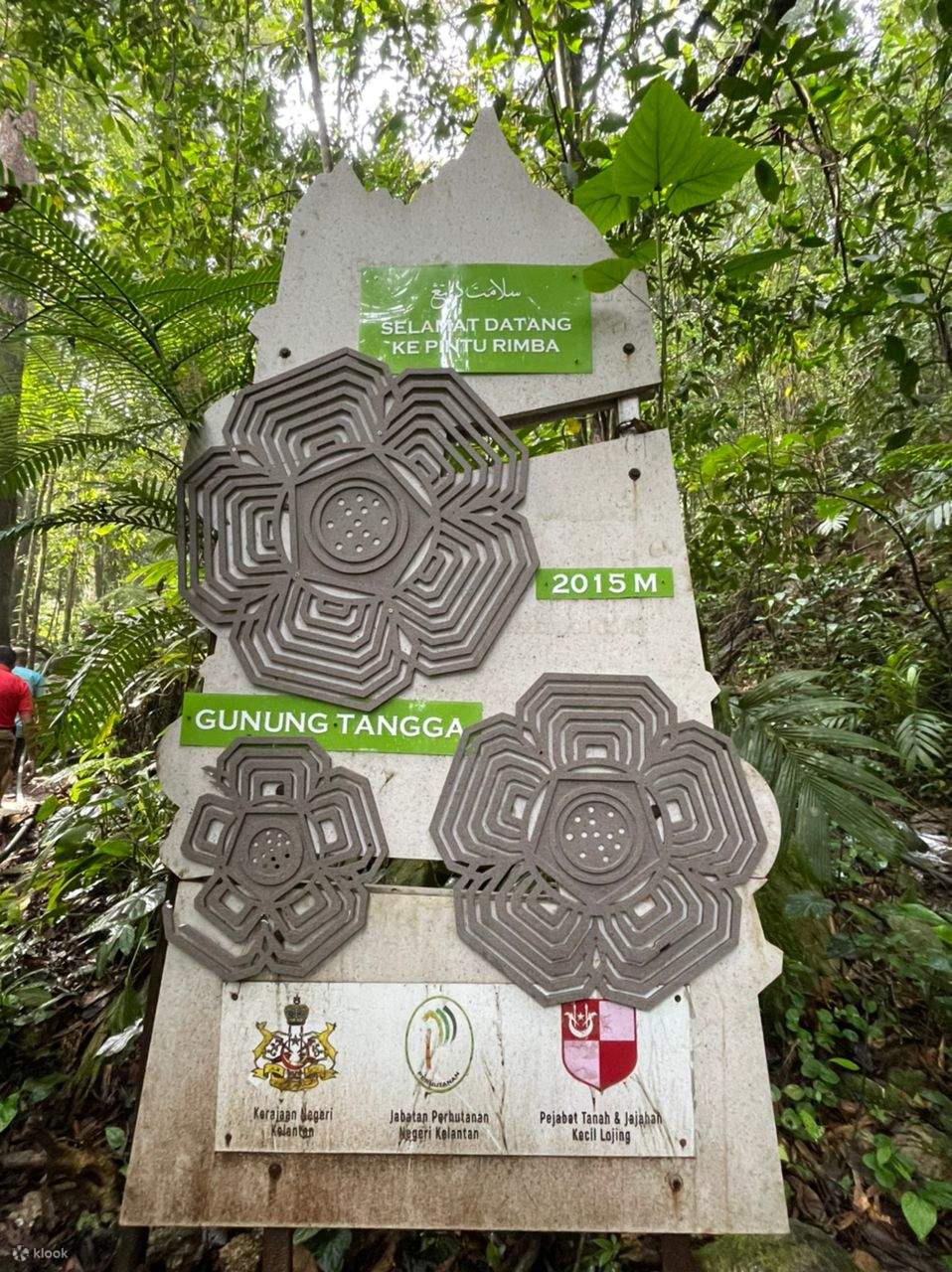 Rafflesia Half Day Trekking Trip in Cameron Highlands, Malaysia - Klook ...