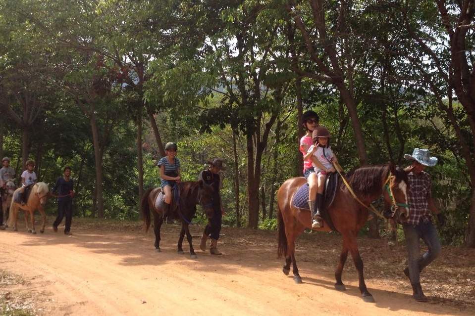 Horseback Riding Experience in Phuket - Klook Indonesia