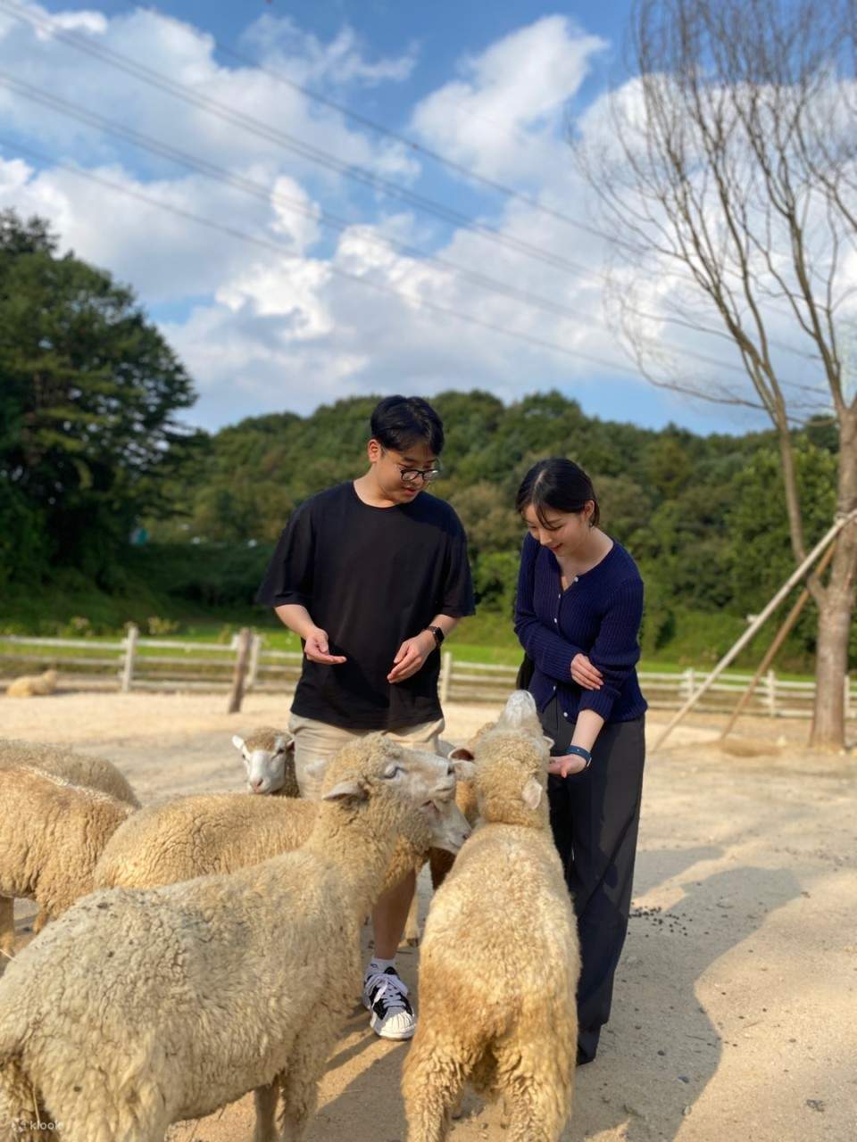 Beautiful Countryside 4 Seasons Day Tour from Seoul - Klook Australia