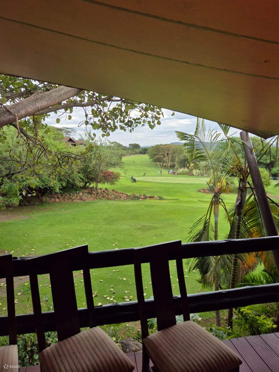 Golf and Safari Adventures in Kenya - Klook
