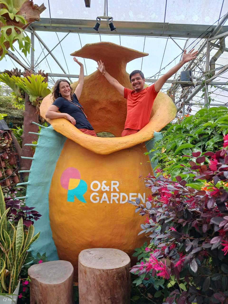 Cameron Highland Private Day Tour From Ipoh - Klook Singapore