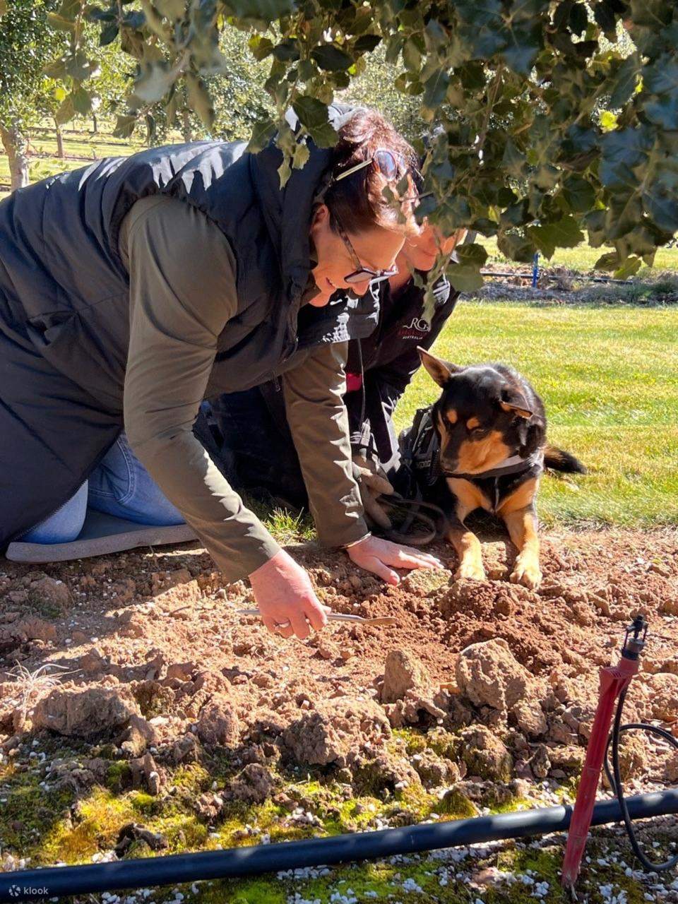 2 Nights Of Scenic Comfort And Private Truffle Hunting in Oberon ...