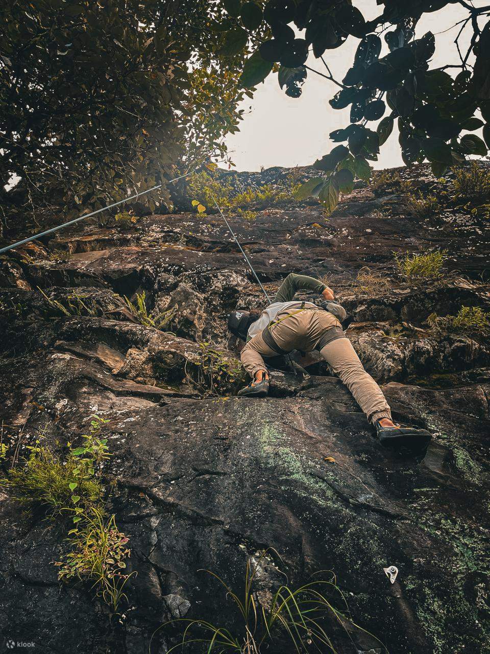 One Day Rock Climbing Adventure - Klook Estados Unidos