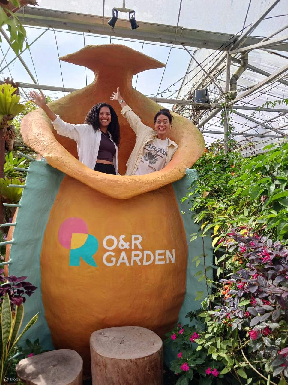 Cameron Highland Private Day Tour From Ipoh - Klook Singapore