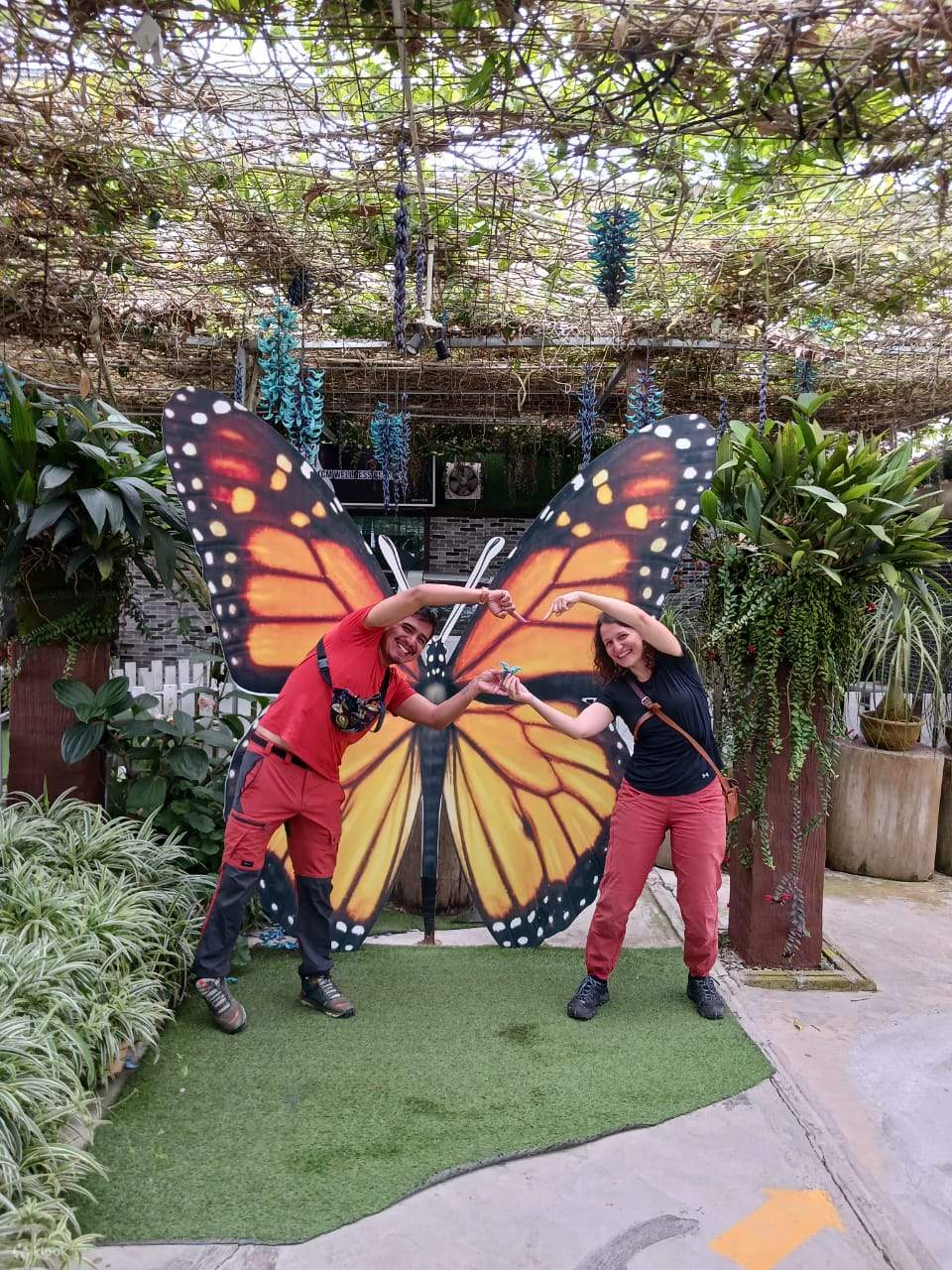 Cameron Highland Private Day Tour From Ipoh - Klook Singapore