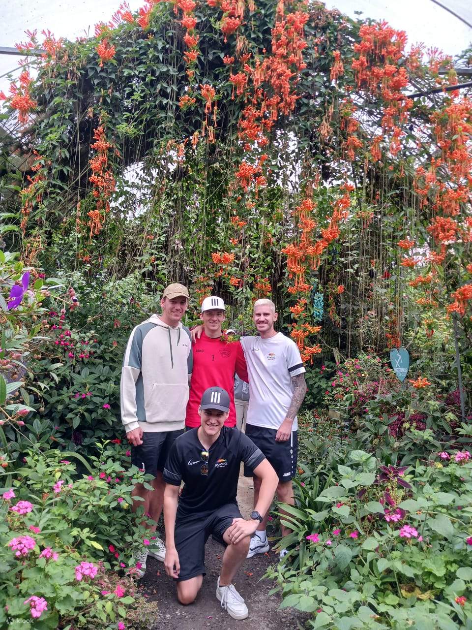 Cameron Highland Private Day Tour From Ipoh - Klook Singapore