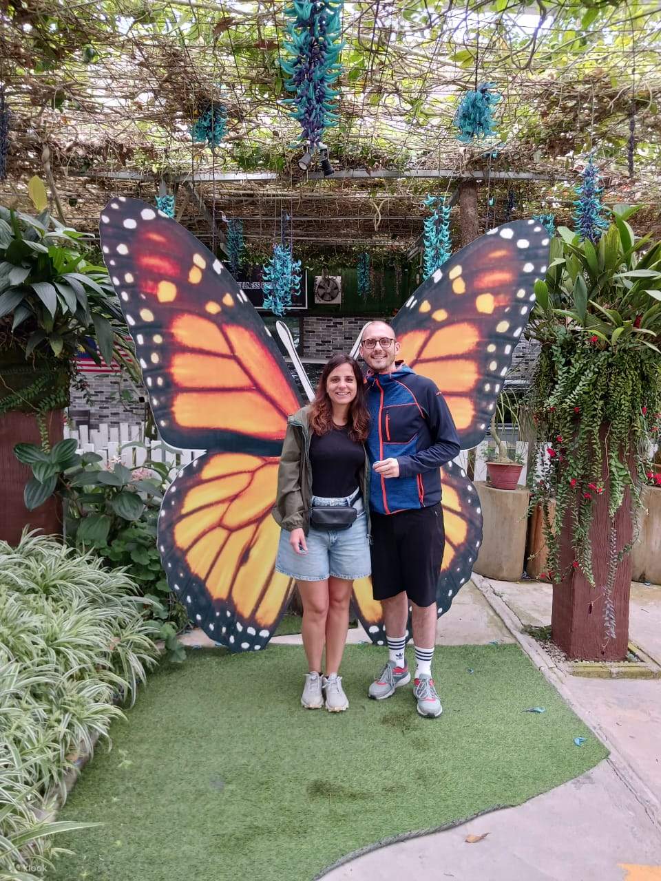 Cameron Highland Private Day Tour From Ipoh - Klook Singapore