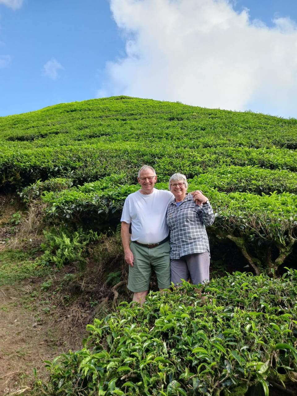 Tur Pribadi Cameron Highland dari Ipoh - Klook Indonesia