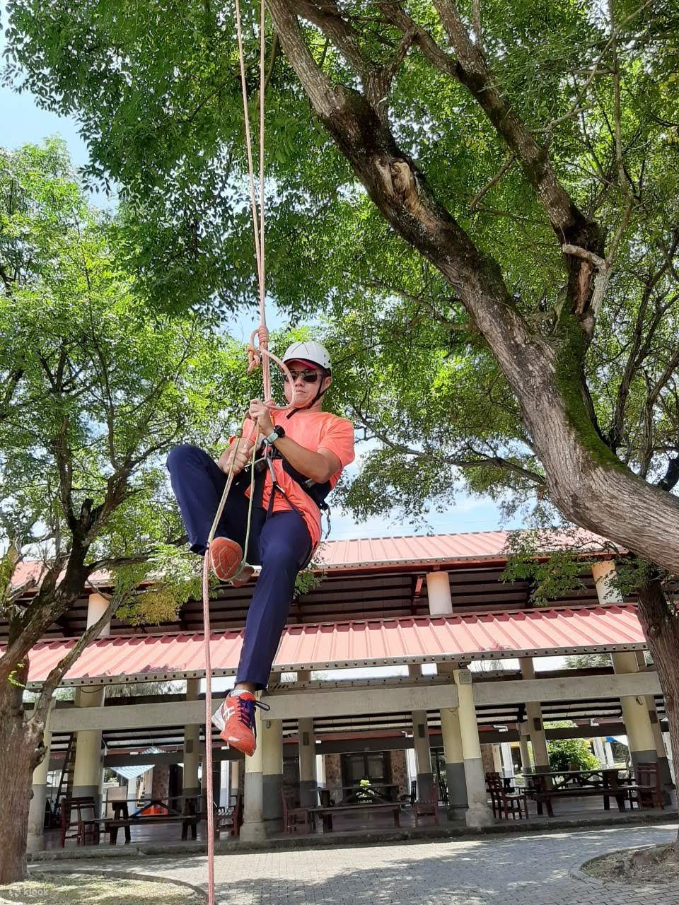 Yilan: Tree Climbing Base | Tree Climbing Experience - Klook