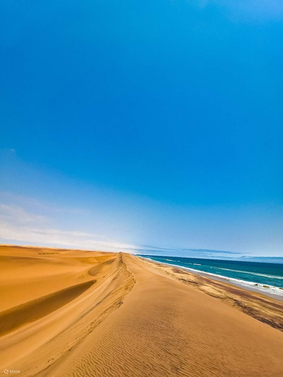 Namibe Desert Tour-Kamilunga Hills, Dunes, The Welwitchia Mirabilis ...