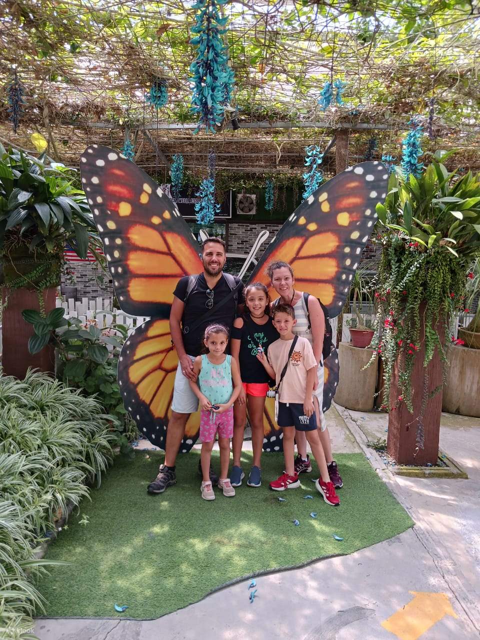 Cameron Highland Private Day Tour From Ipoh - Klook Singapore