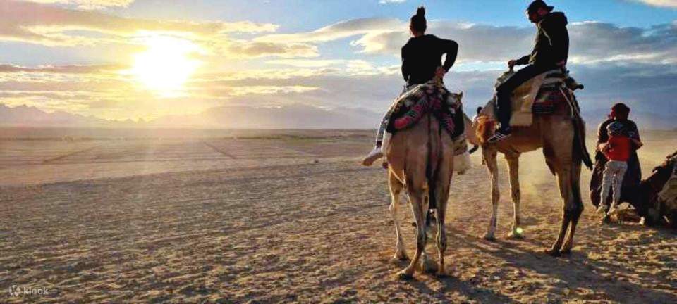 Tur Melihat Bintang Gurun Sinai dari Sharm El Sheikh - Klook Indonesia