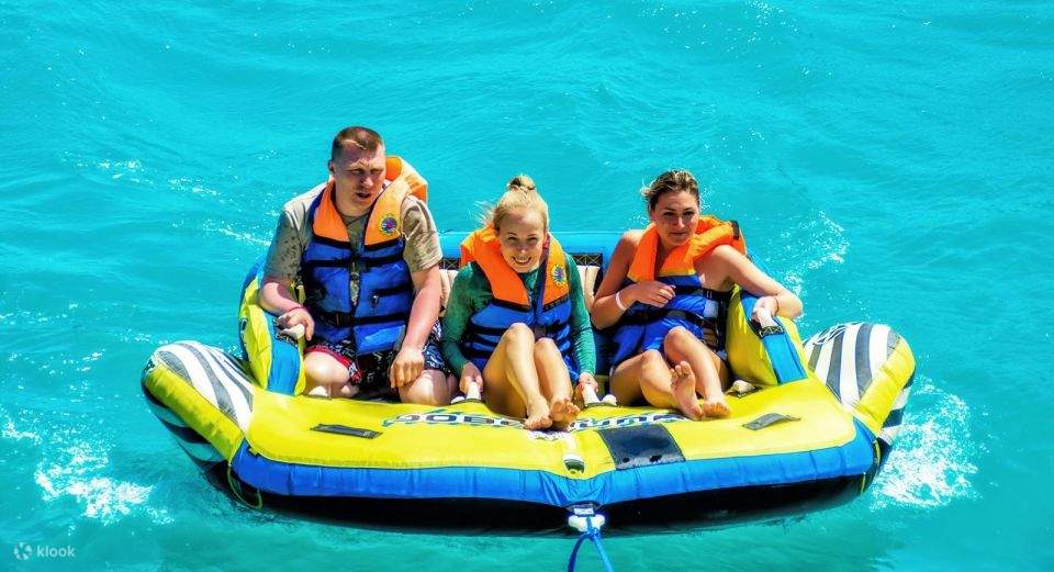 Discover the Majestic Dolphins of the Red Sea: Hurghada Dolphin ...