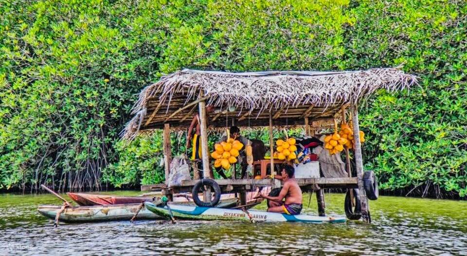 Colombo & Negombo To Galle Hikkaduwa Mirissa Day Tour - Klook