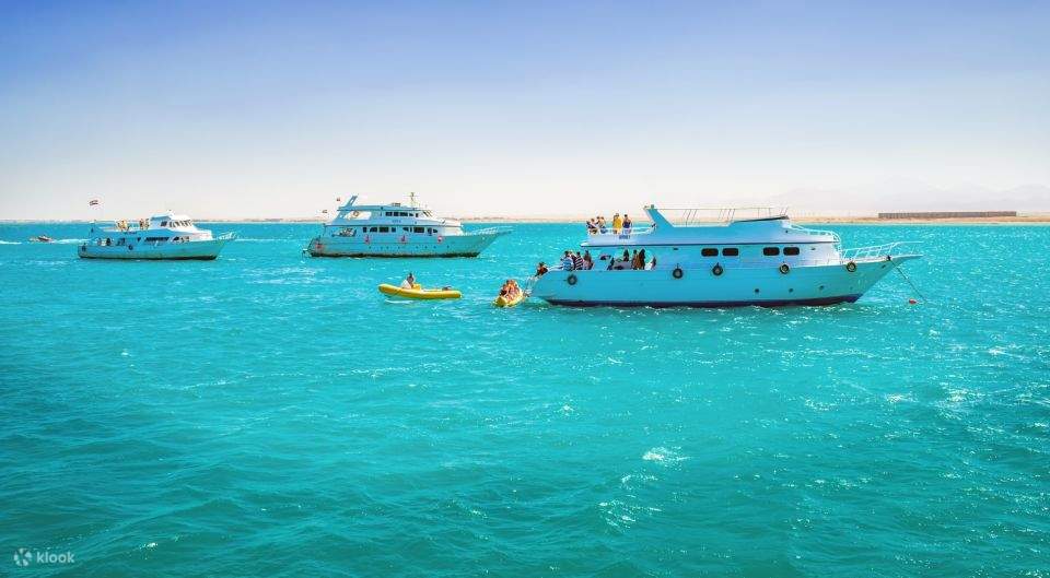 Explore El Gouna: Dolphin Watching Boat Tour with Snorkeling & Lunch ...