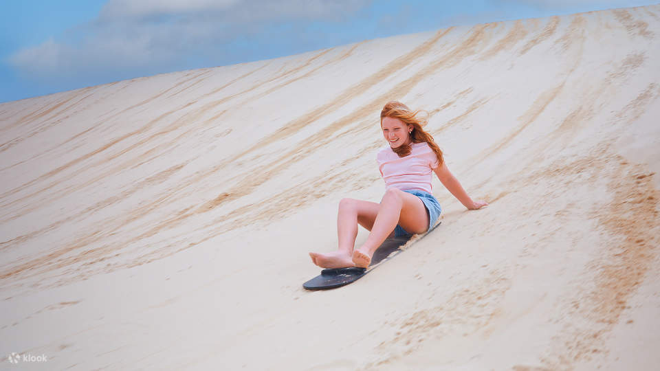 Port Stephens Guided Tour with Dolphin Cruise, Koalas & Sandboard ...