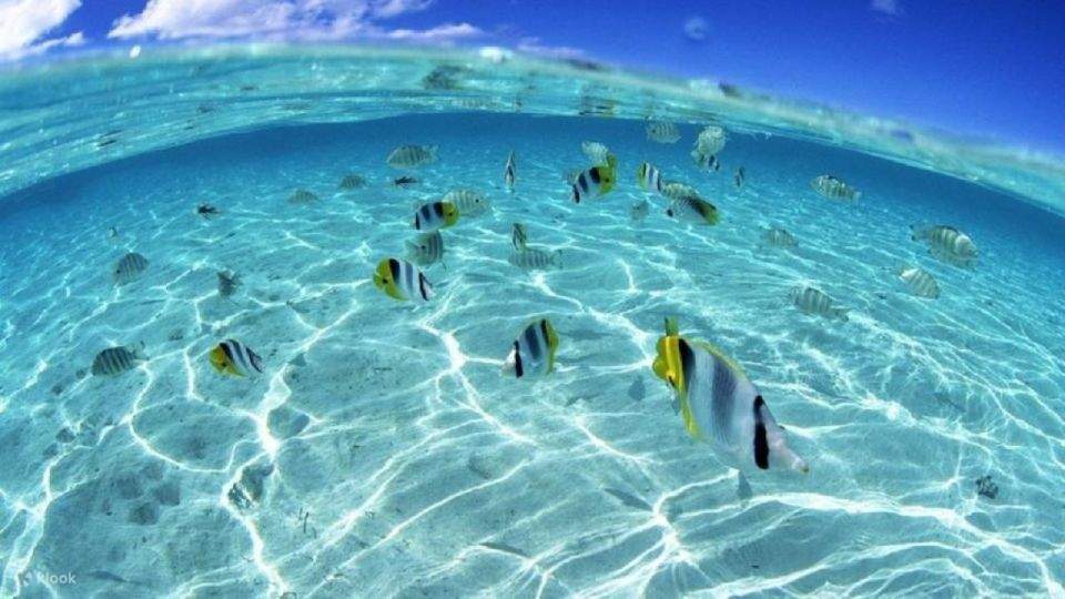 Jelajahi Sharm El Sheikh dengan ATV Quad Bike yang Menyenangkan dan Petualangan Speedboat ...