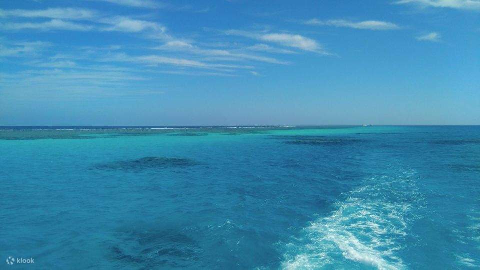 Explore Marsa Mubarak: Snorkel with Sea Cows and Turtles in Marsa Alam - Klook