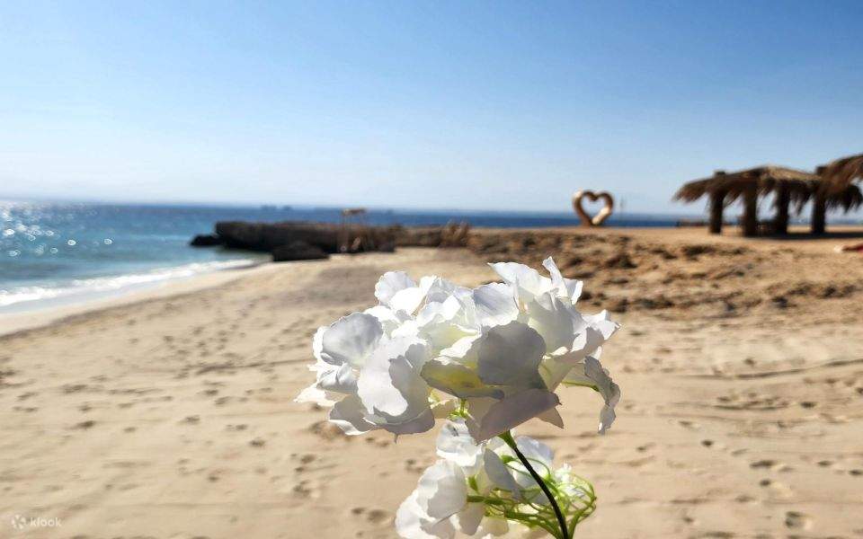 Explore Makadi Bay: Magawish Island & Snorkeling Tour with Buffet Lunch ...